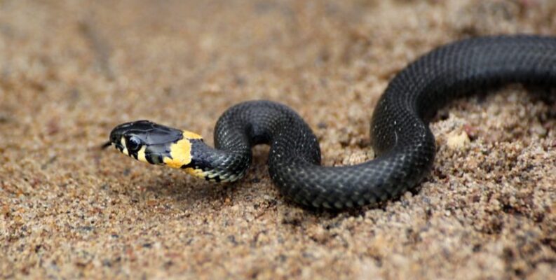 Ivan Smirnov | Portfolio